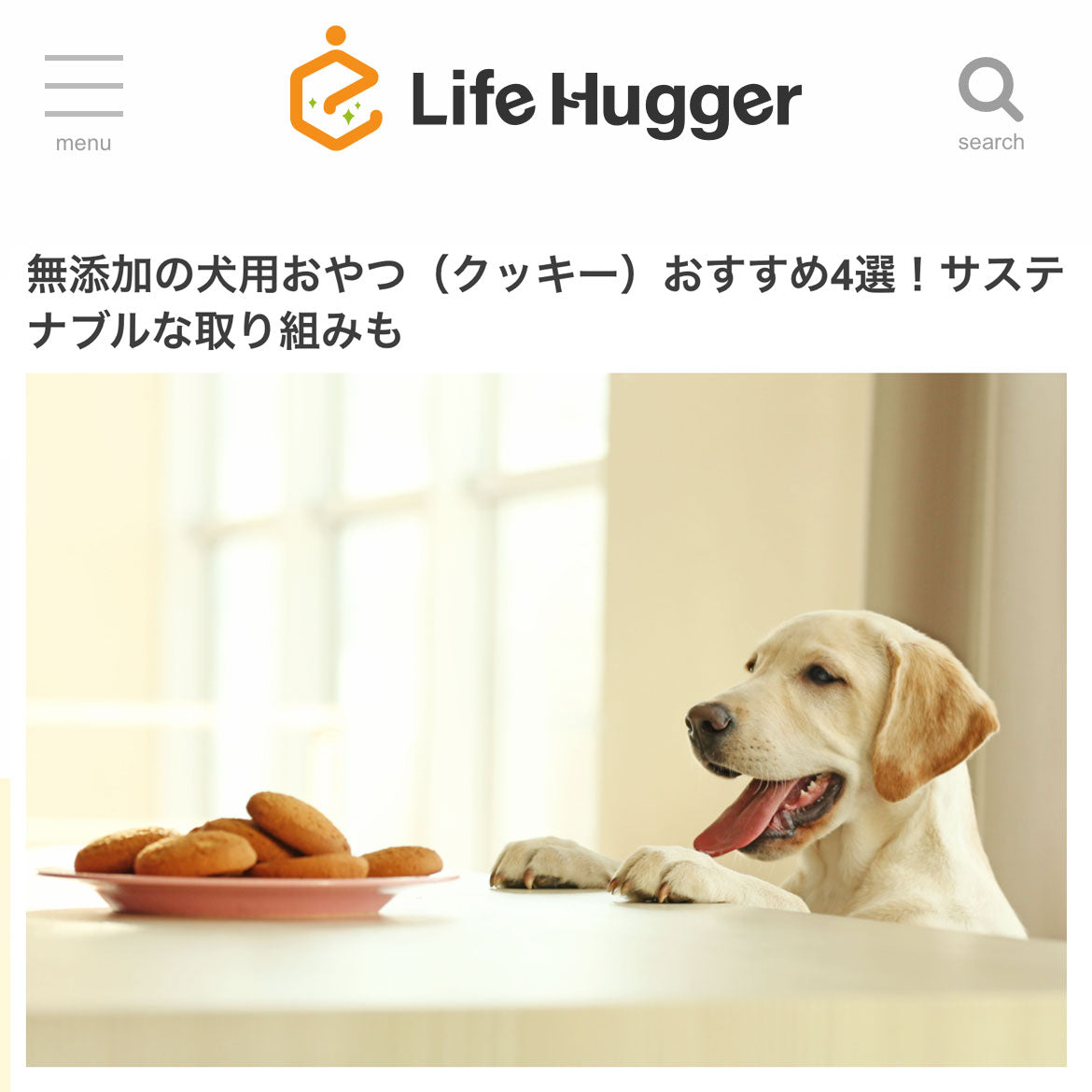 【メディア掲載情報】Life Hugger – iico